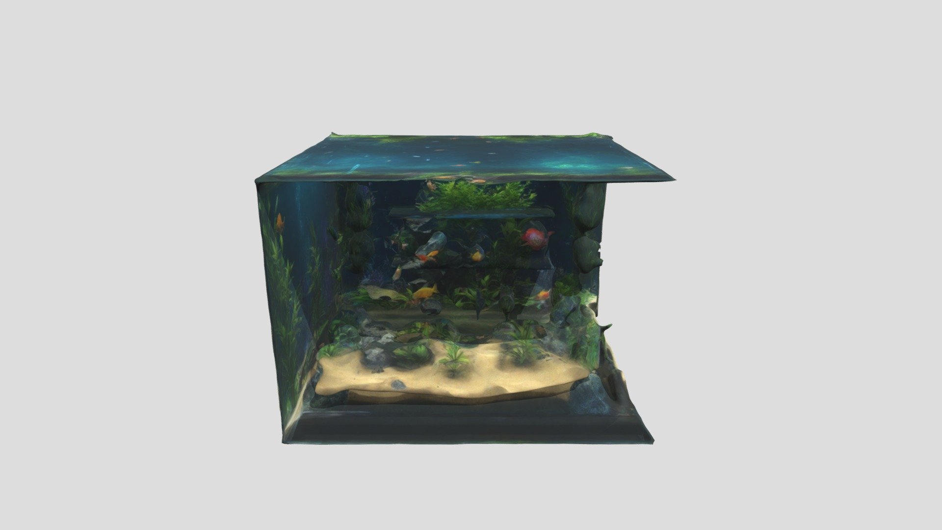 fish tank with tropical fish swimming - 3D model by ghostsniper12349877 ...