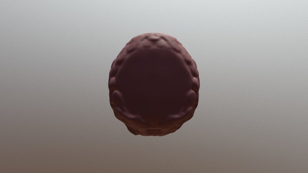 Brain - 3D model by ArtIsFun [2cccb46] - Sketchfab