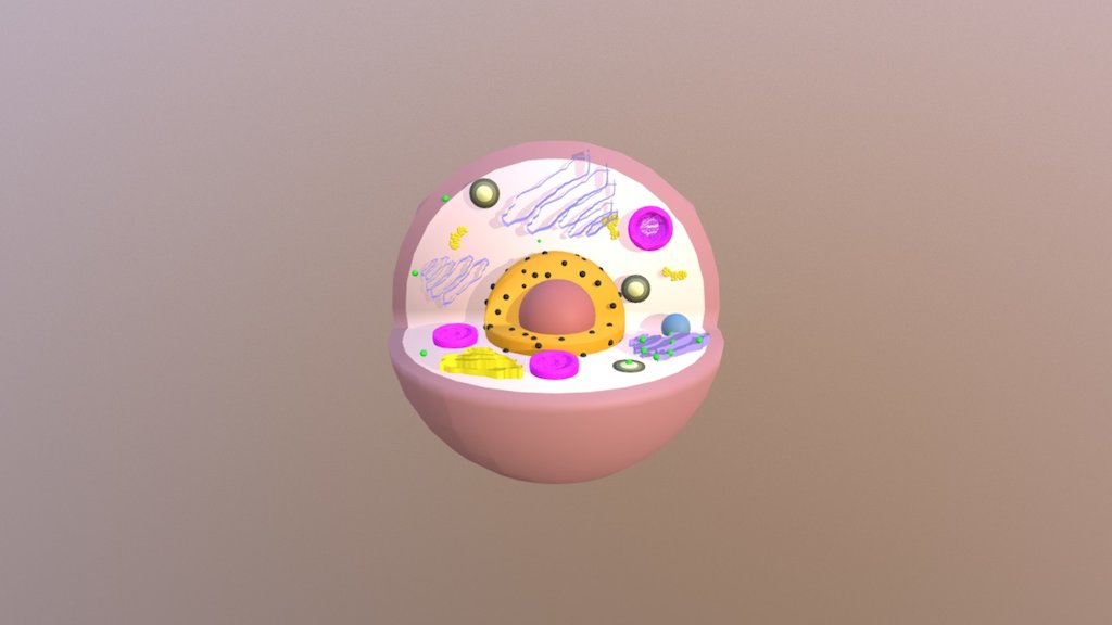 Animal cell project - 3D model by sewonrock (@danjoon4) [2cce267 ...
