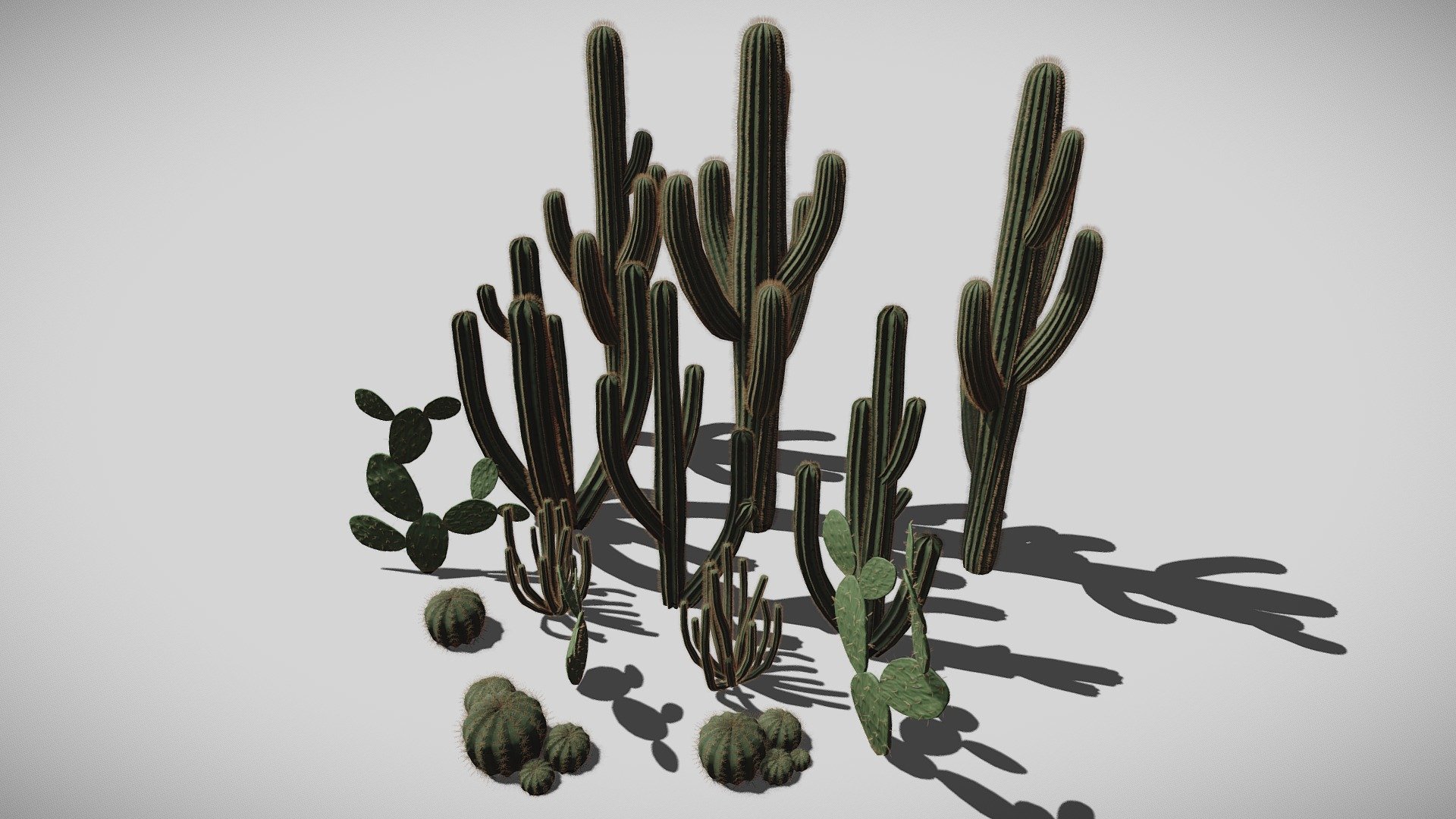 Cactus Package - Buy Royalty Free 3D model by Paul (@nathan.d1563 ...