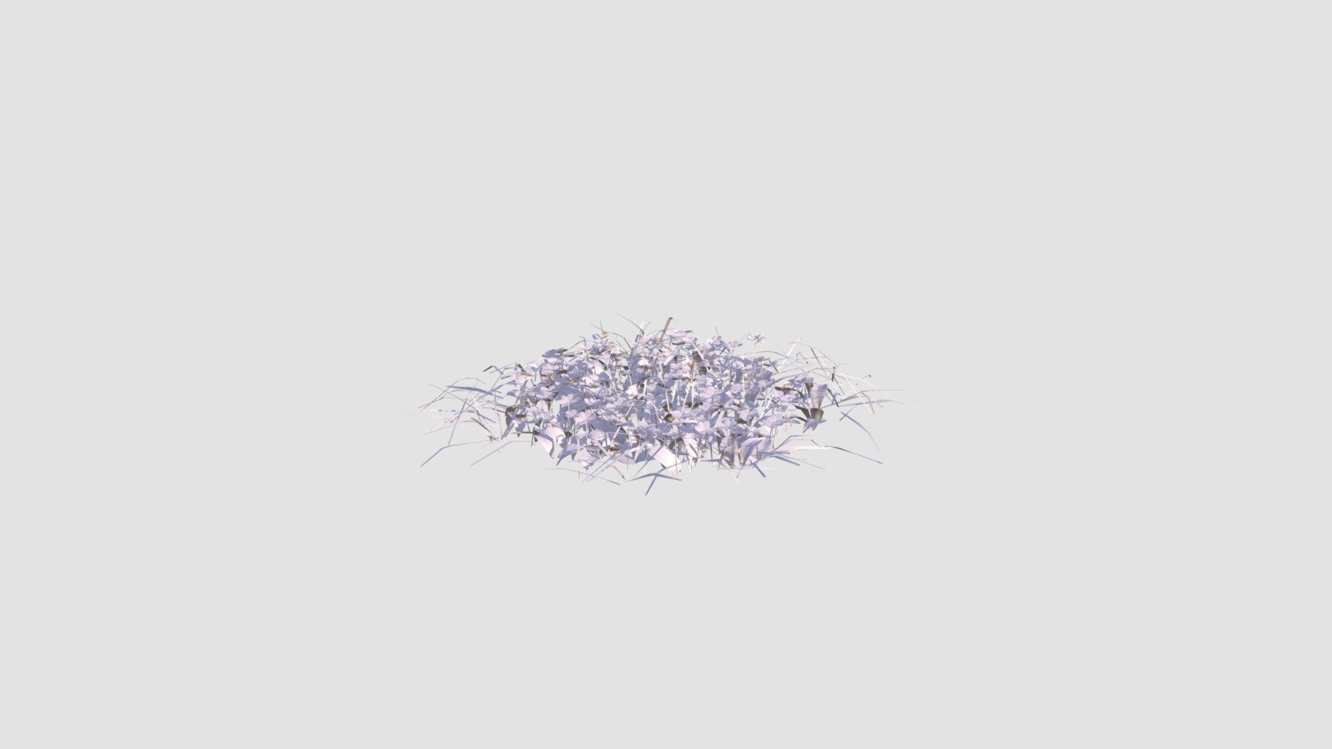simple grass medium - Buy Royalty Free 3D model by Evermotion [2cd9308 ...