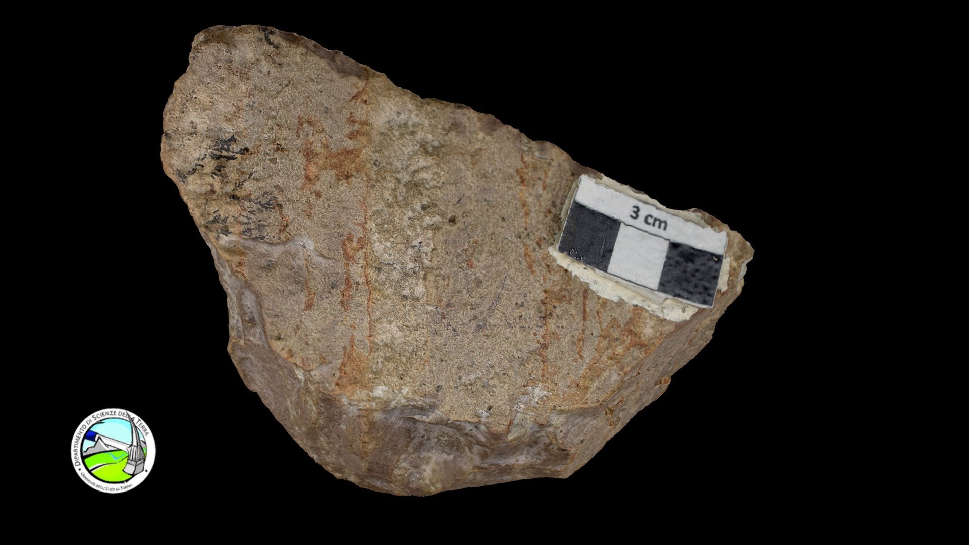 V8 - Riolite oligoporfirica - 3D model by Dipartimento di Scienze della ...