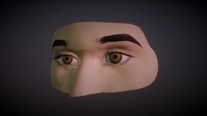 Lashes 3D models - Sketchfab