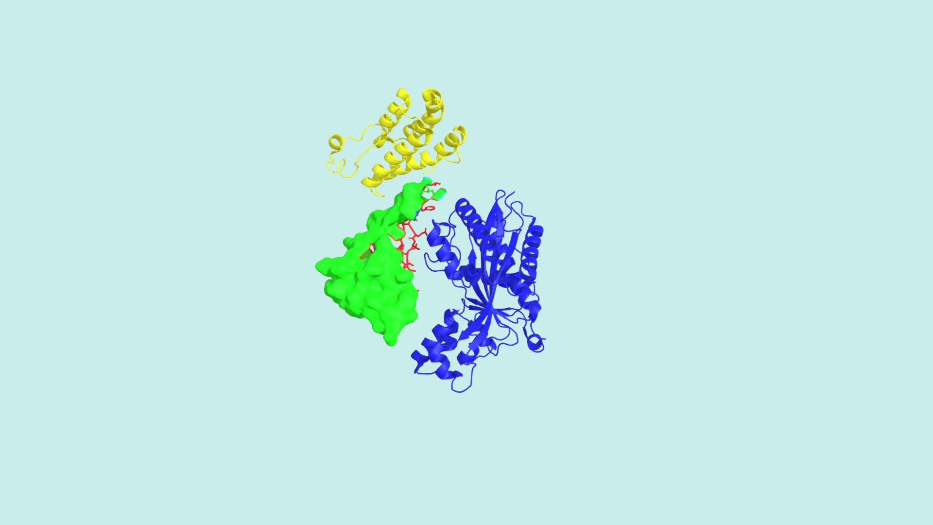 Grand Symphony of Gene Regulation - 3D model by erou4258 (@4258erou ...
