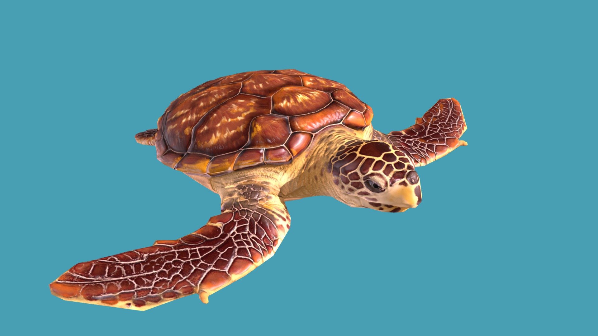 Loggerhead Sea Turtle | Blue Odyssey - 3D model by Jashi (@Jashooter ...