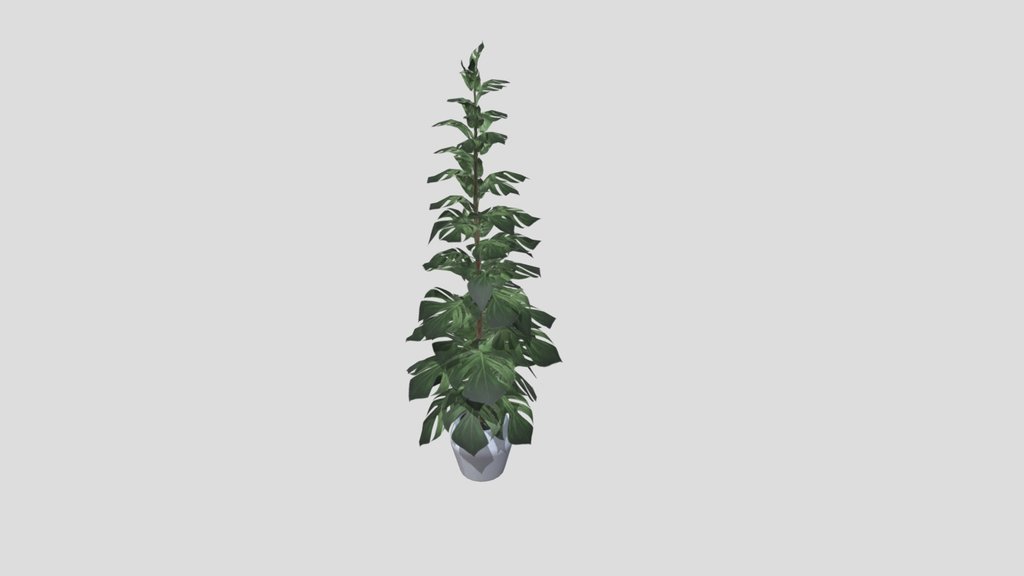 House Plant - A 3D model collection by Leon (@brnstudios) - Sketchfab