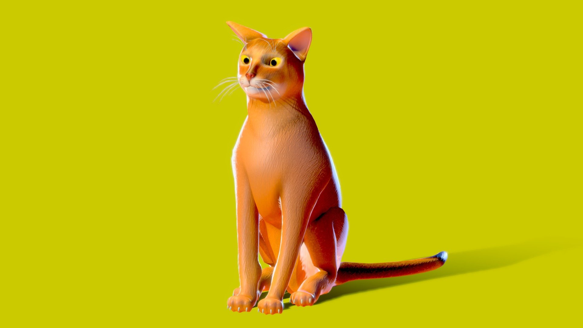 Low poly - Stylized cats - Abyssinian Cat - Buy Royalty Free 3D model ...