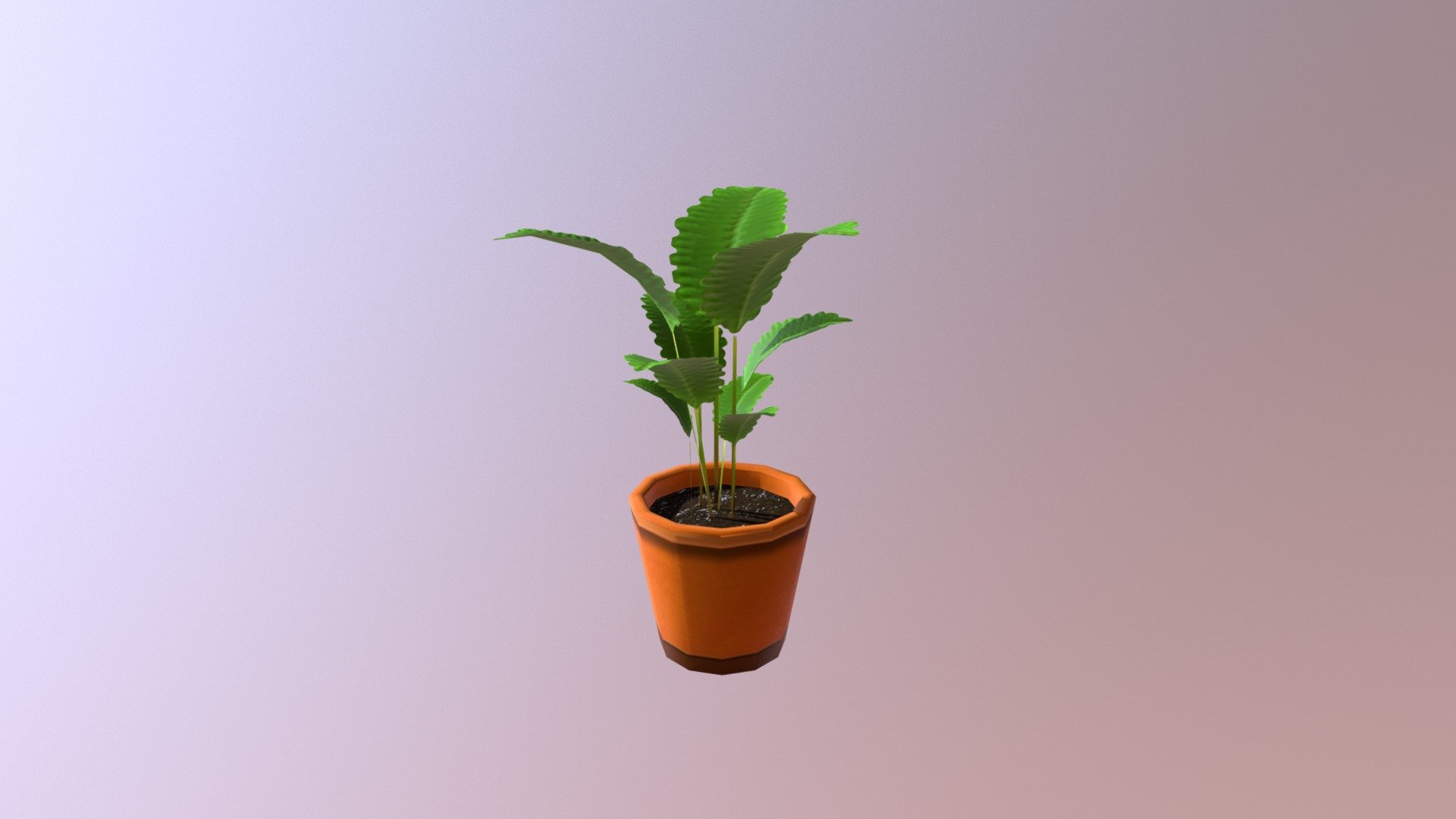Lady Palm - 3D model by Cobayuski [2d0623f] - Sketchfab
