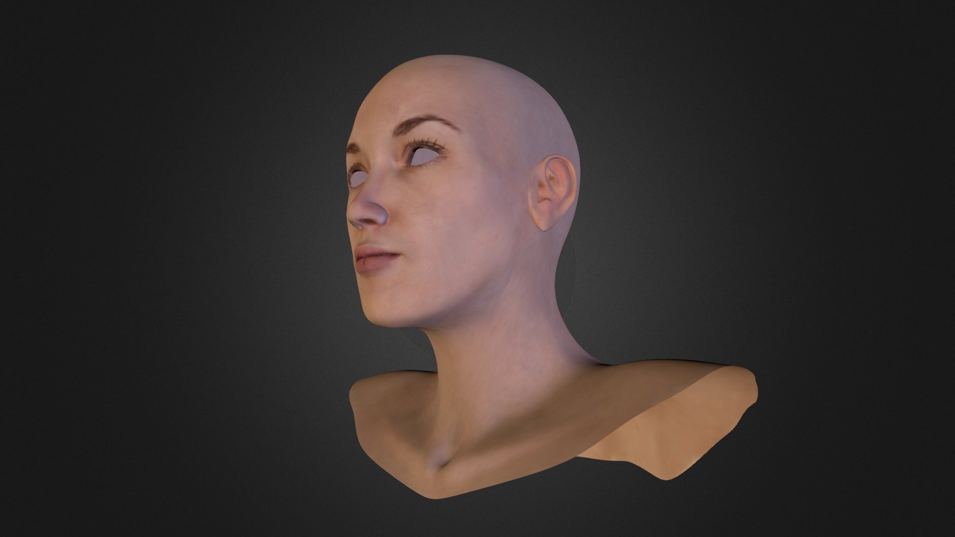 bbb - 3D model by musivara [2d075c9] - Sketchfab