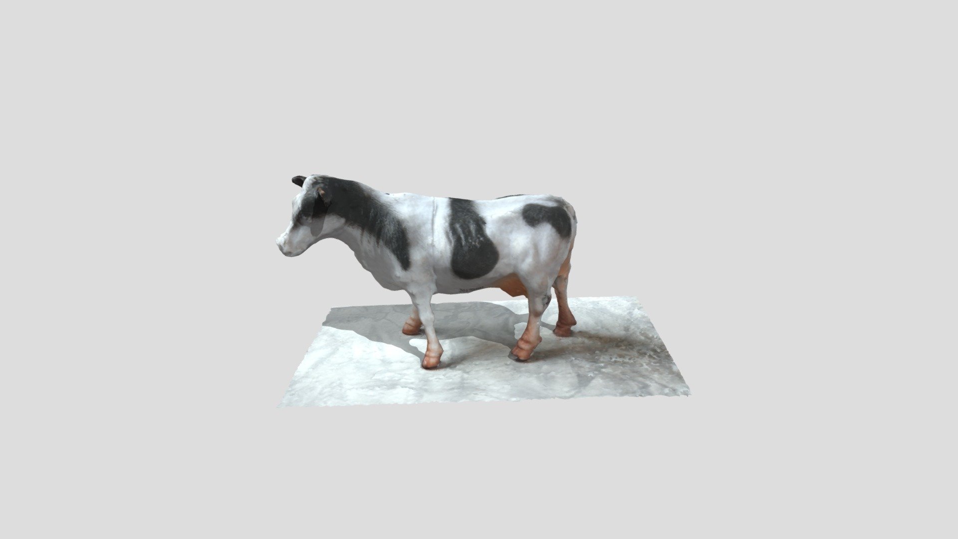 Cow - Download Free 3D model by Katherine Bohoduik (@gecgec) [2d166d5 ...