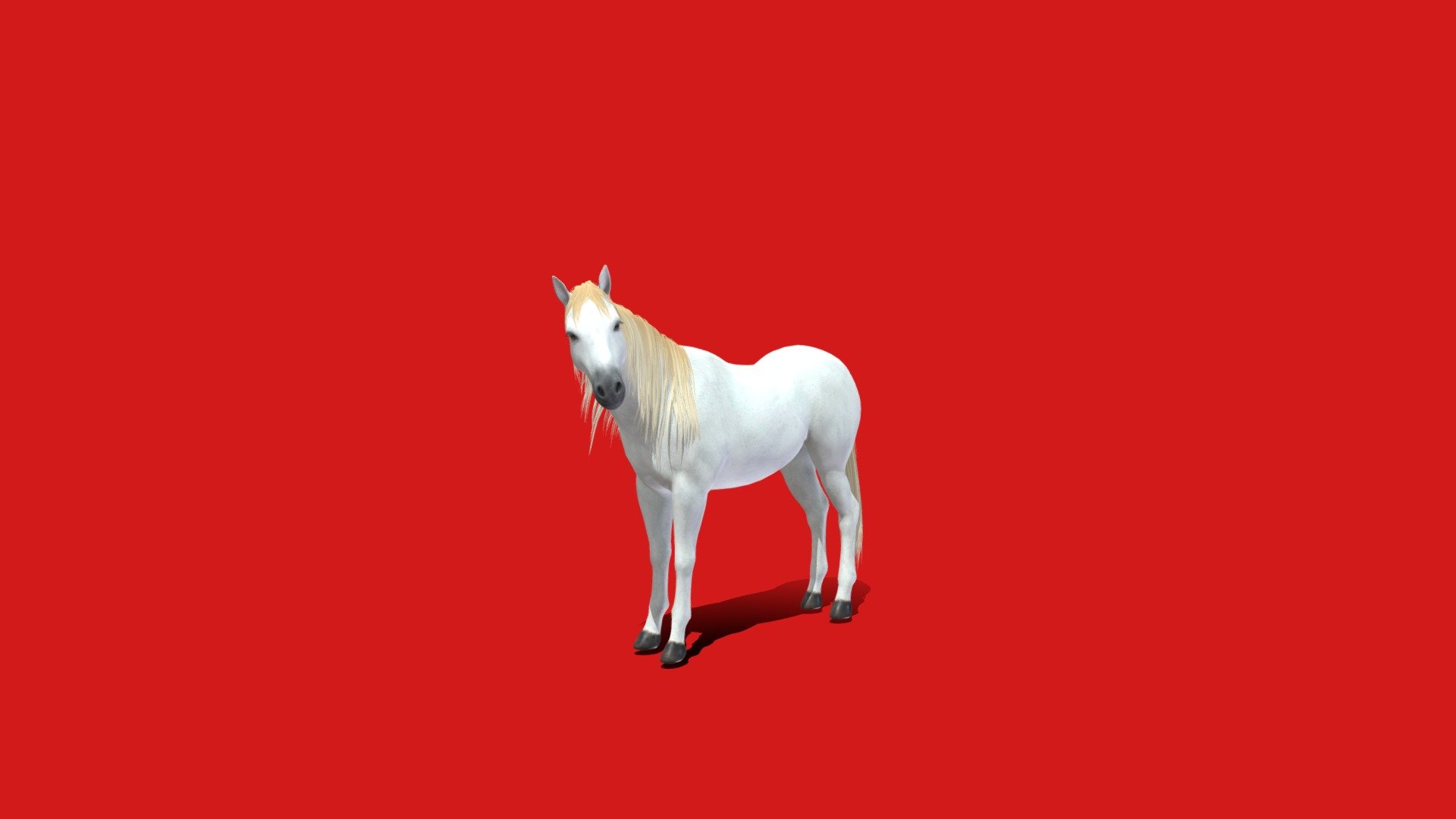 White Horse - 3D model by Beautiful Animals (nyilonelycompany ...