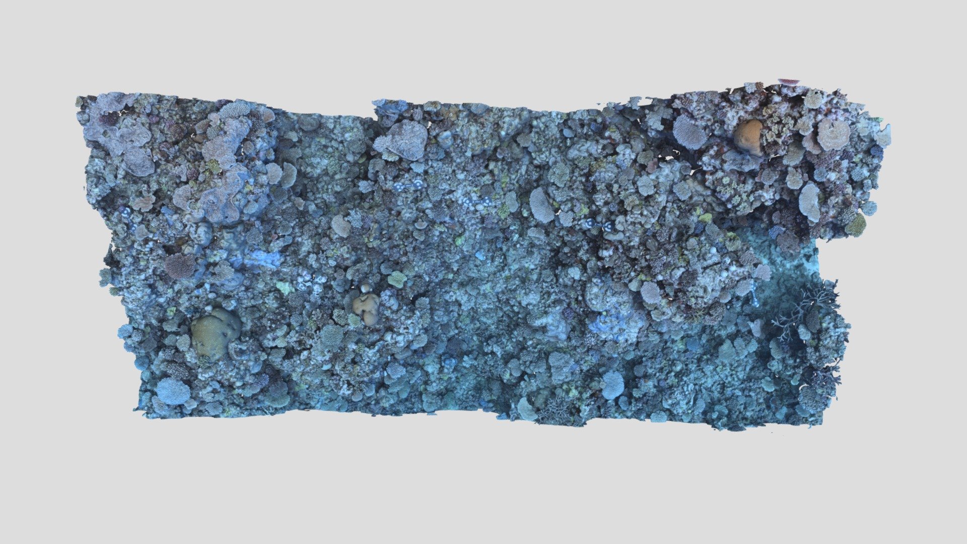 Davies_FR2S_P2_202101 - 3D model by EcoRRAP (@AIMSEcoRRAP) [2d1da52 ...