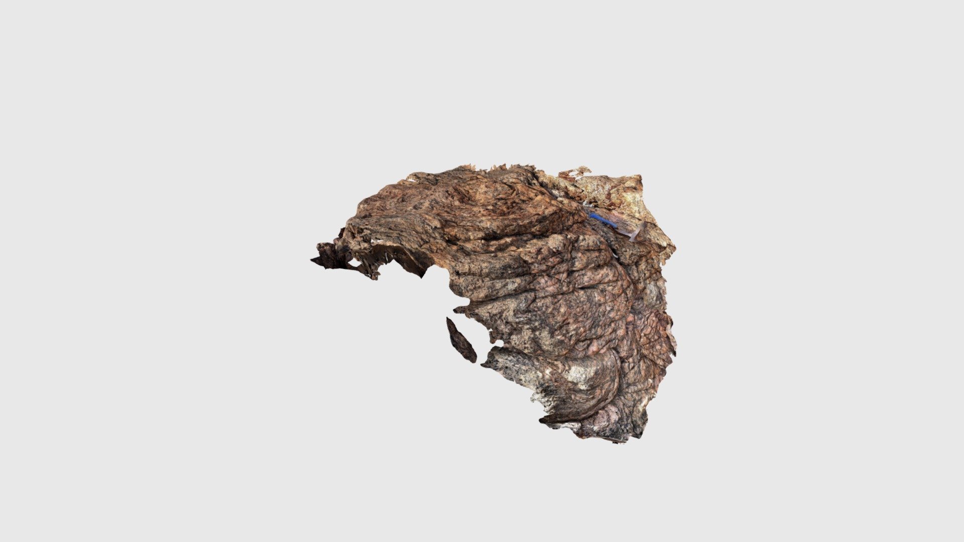 Metric fold in Cannes migmatite (2) - Download Free 3D model by ...