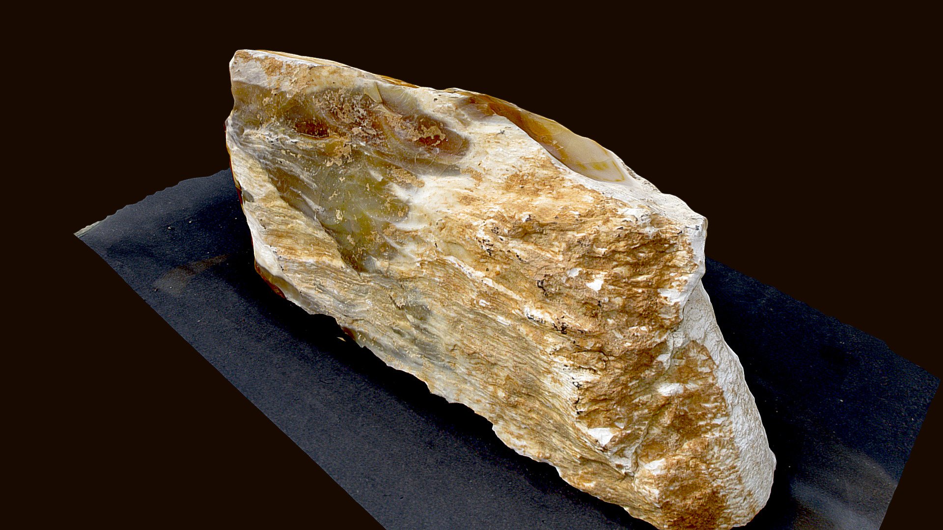 Petrified Palm Wood - 3D model by John Toeppen (@toeppen) [2d336a8 ...