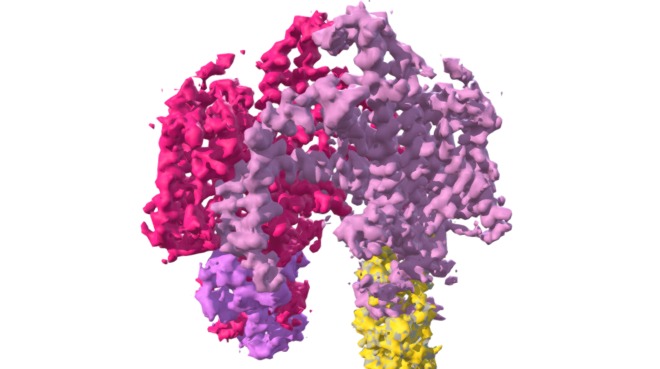 EMDB › EMD-8315 - 3D model by Interactive 3D Data (@proteinsimulation ...