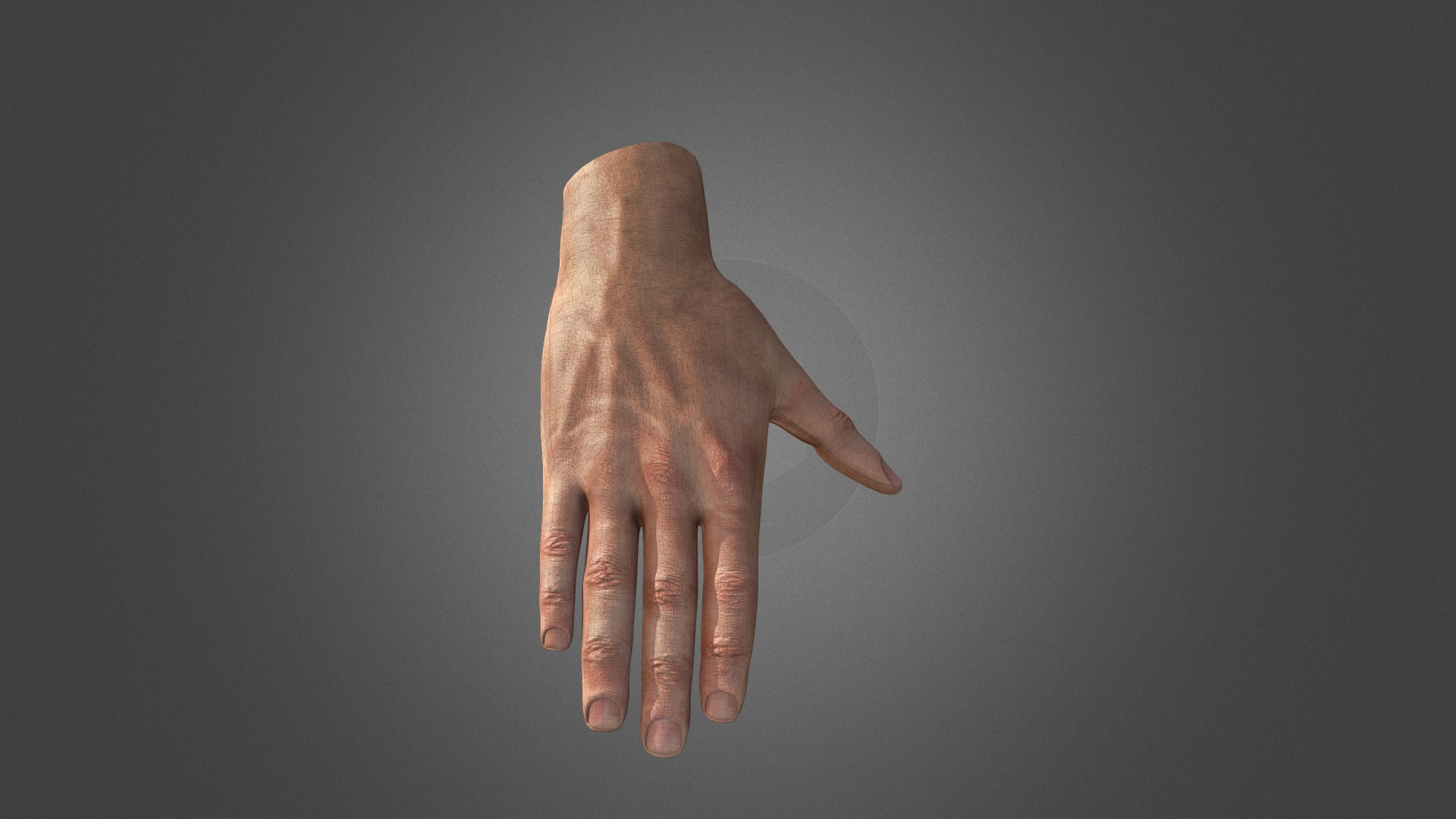 HAND - 3D model by VENIKAMEN (@venik42) [2d569b9] - Sketchfab