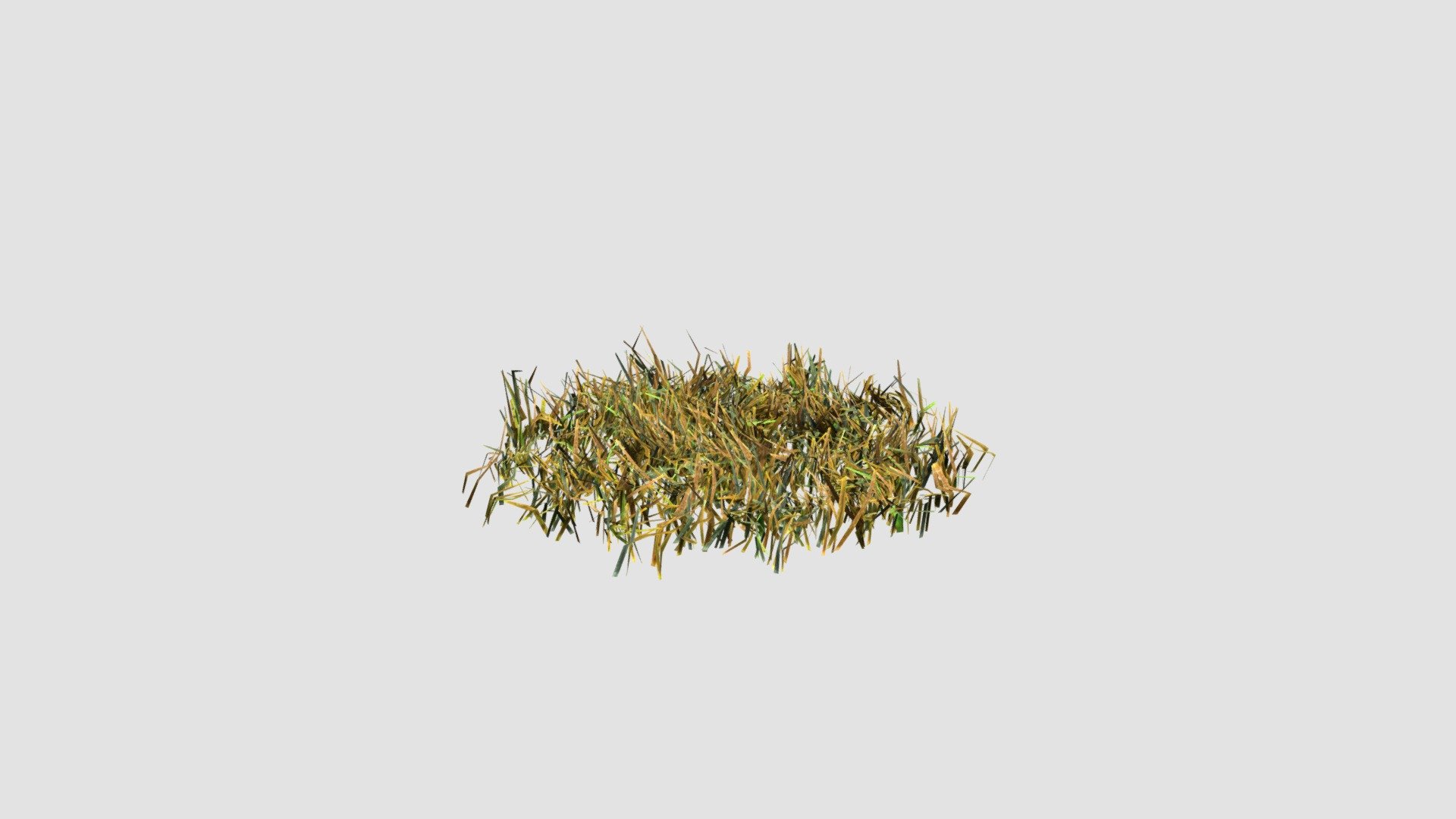 simple grass medium - Buy Royalty Free 3D model by Evermotion [2d58d69 ...