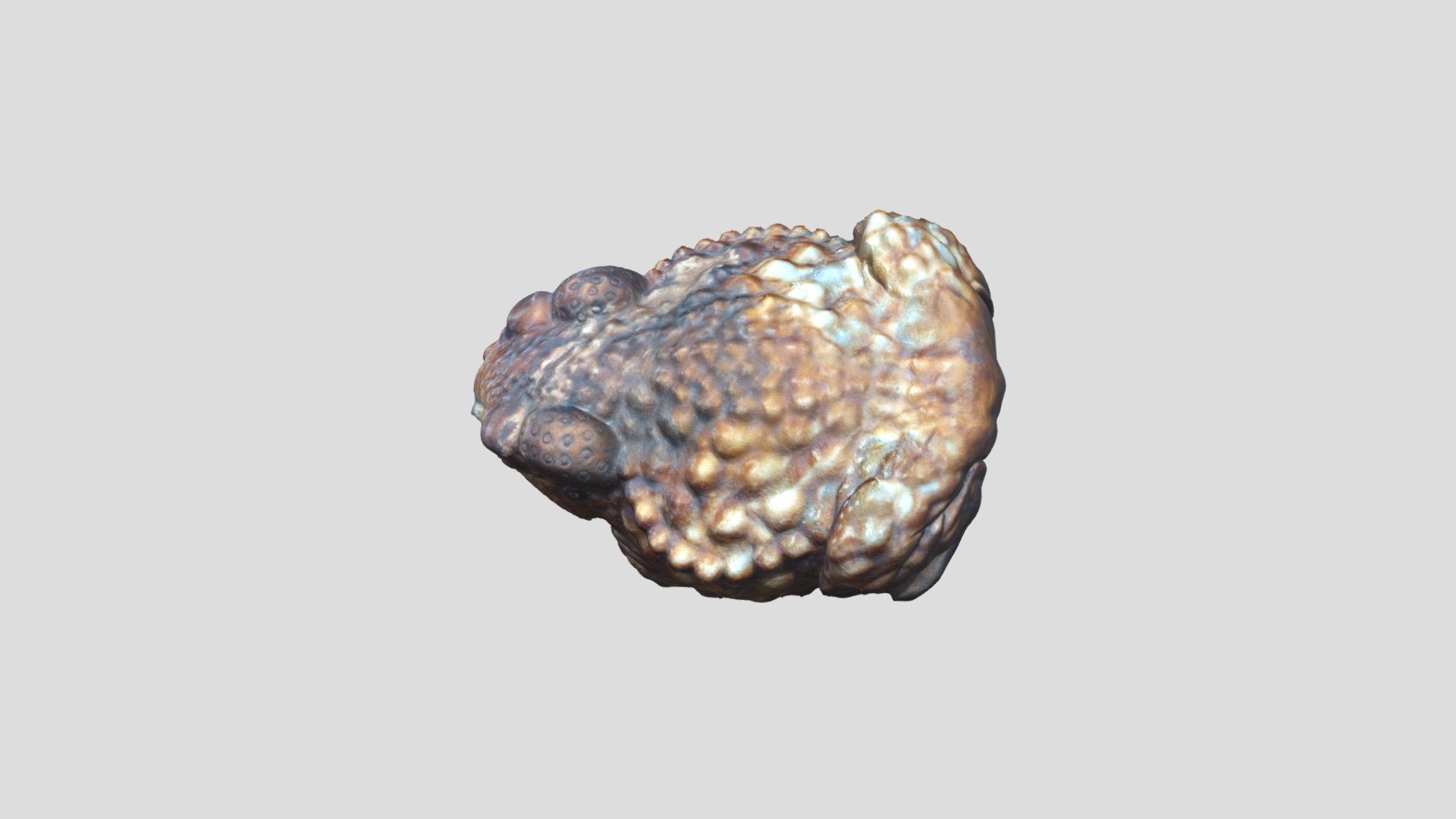 Jade toad - 3D model by 3DPMAX [2d64ed4] - Sketchfab