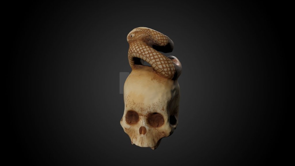 Ivory skull netsuke - Download Free 3D model by Minneapolis Institute ...