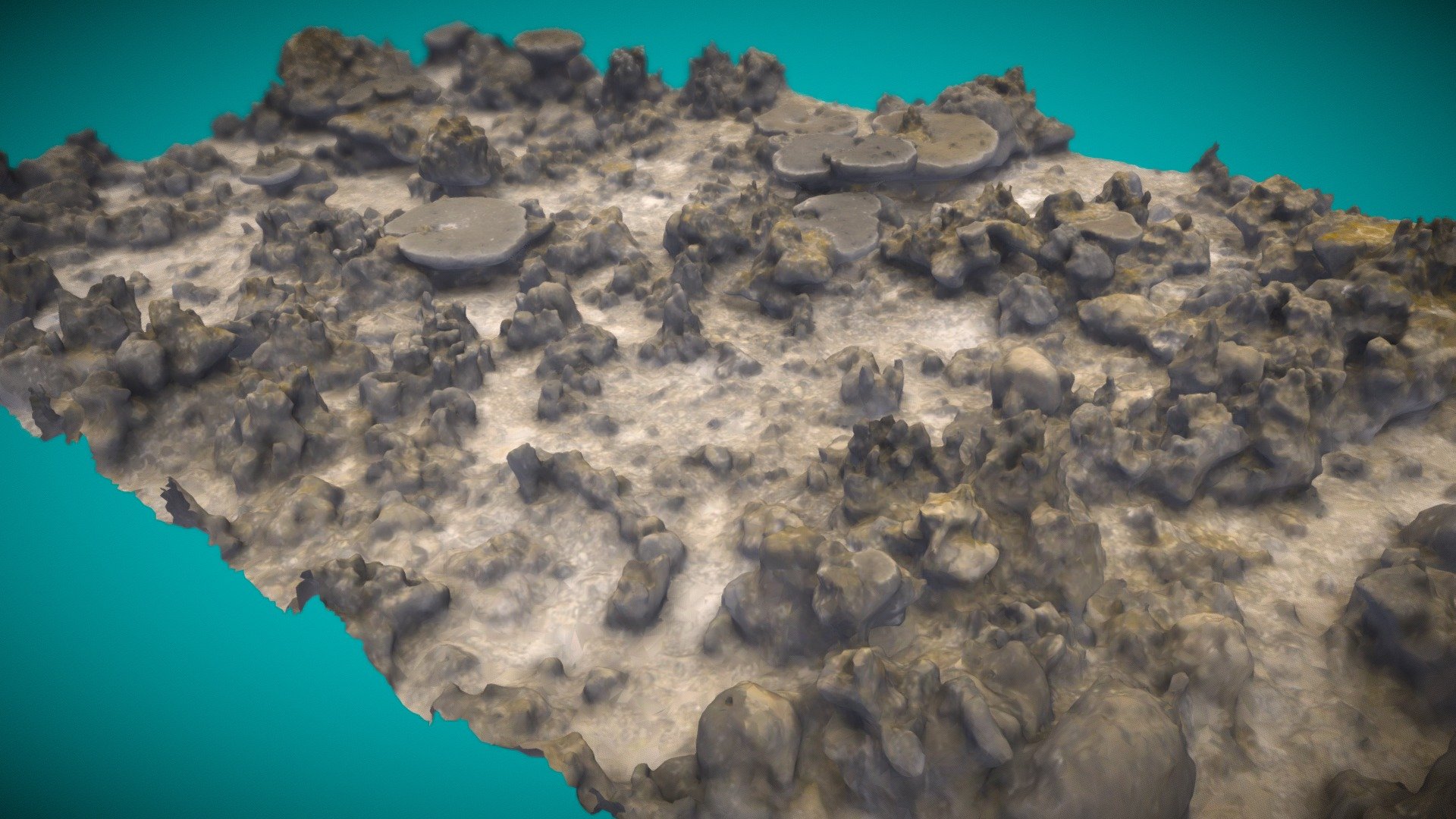 Example - Underwater Photogrammetry - 3D model by revisia [2d6c762 ...