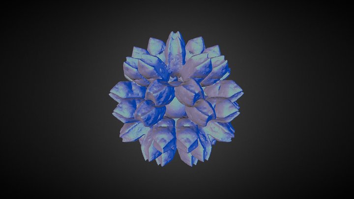 Fiji 3D models - Sketchfab
