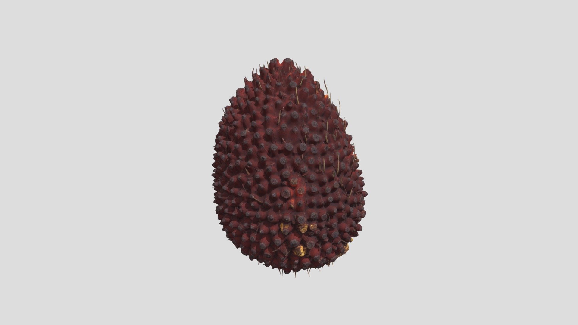 Tandan Sawit - 3D model by Aasepudinpudidi [2d750a0] - Sketchfab