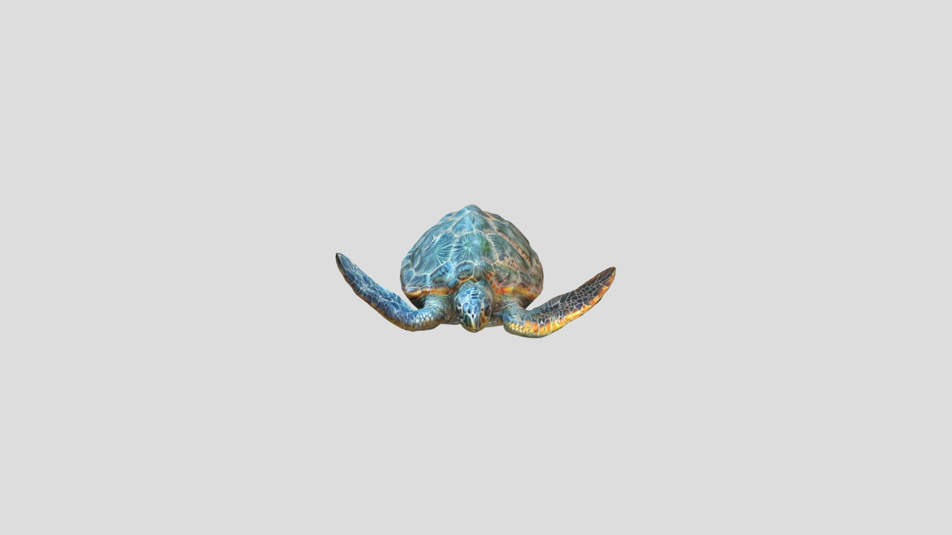 Turtle Swimming Animation - Download Free 3D model by DNAelite [2d77a5d ...