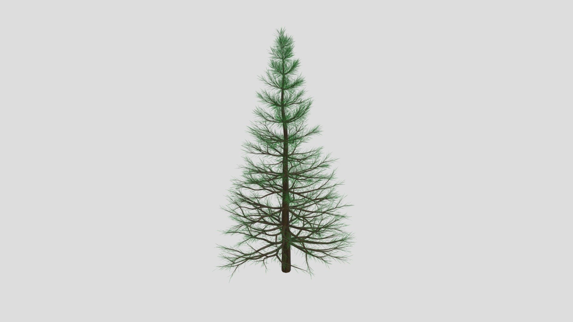 Pine Tree - Download Free 3D model by Mormont (@Mormontt) [2d798b7 ...