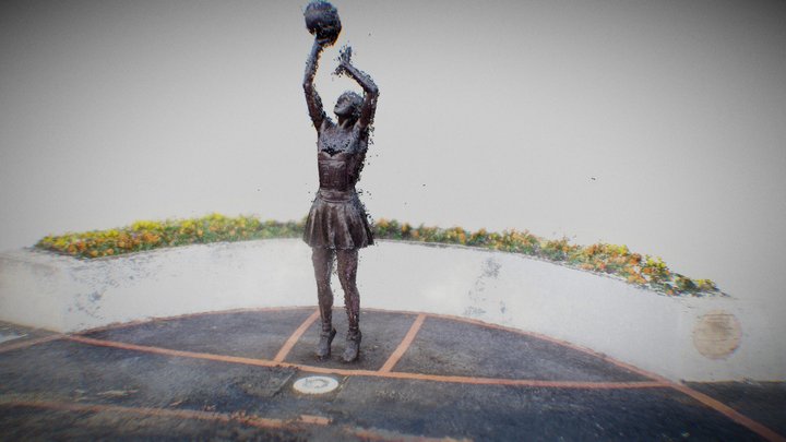 Netball 3D models - Sketchfab