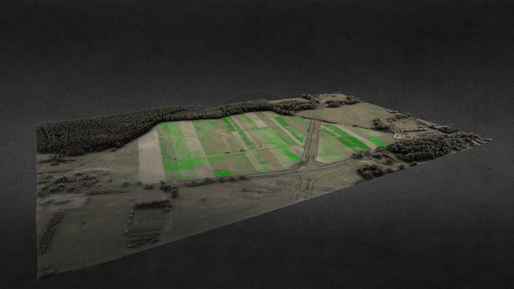 Vineyard 3D models - Sketchfab