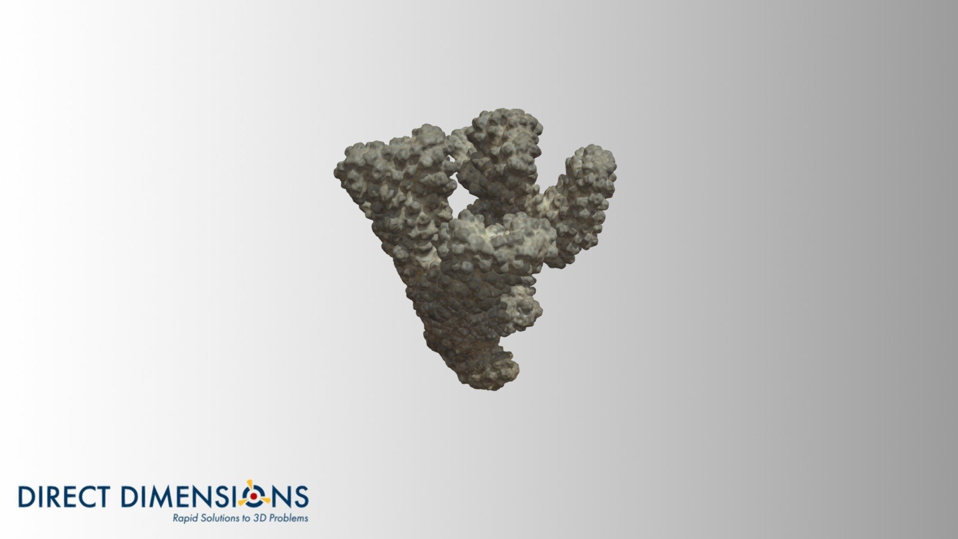 Coral Artec Spider Scan - 3D model by Direct Dimensions (@dirdim ...