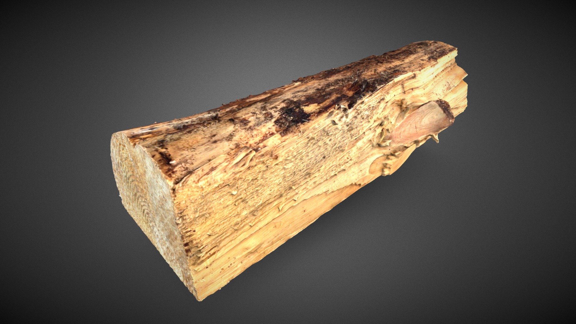 RAW Scan. Pinewood log - Buy Royalty Free 3D model by TomTLC [2d8c723 ...