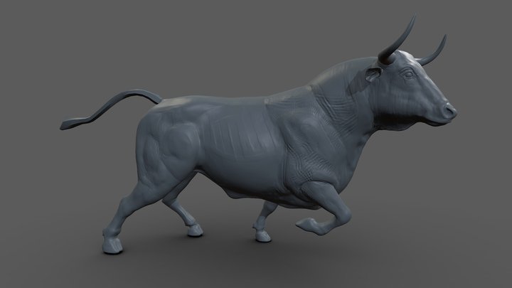 Toro 3D models - Sketchfab