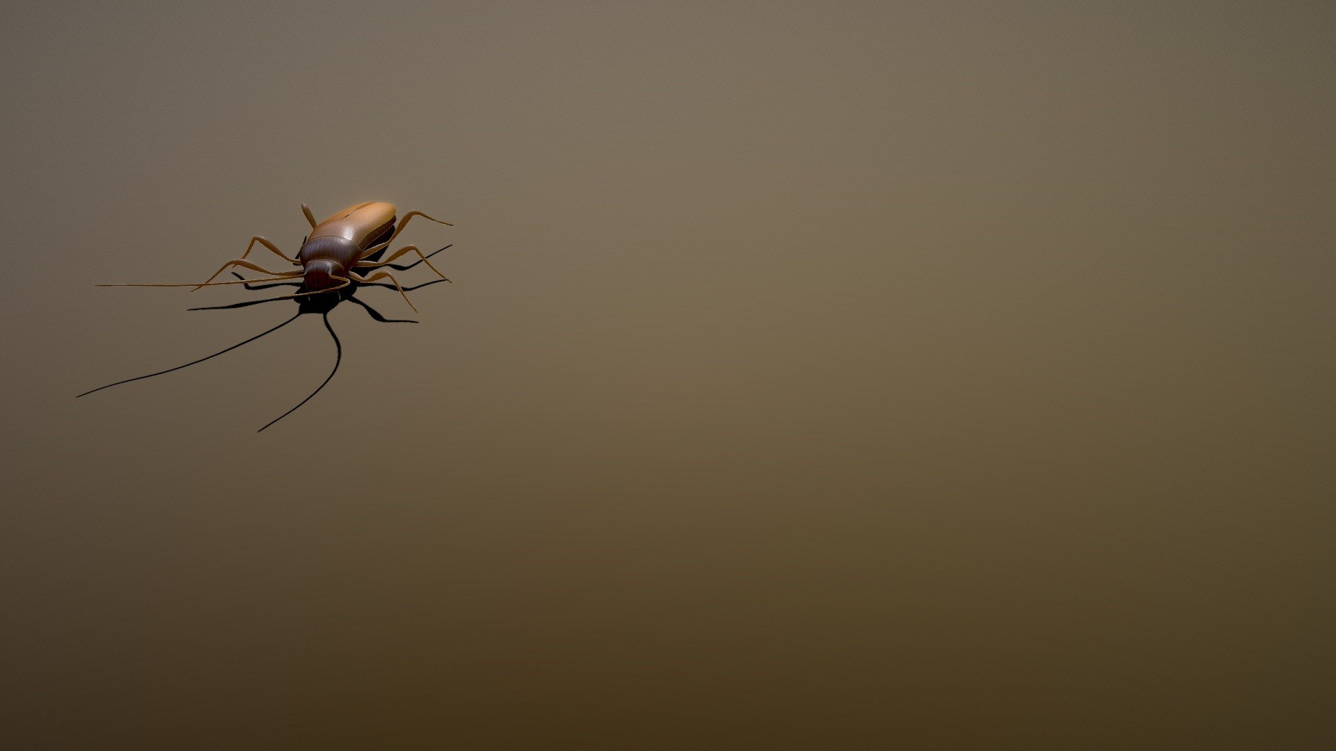 Walking Cochroach - 3D model by majidakbarimoganjogi [2d92bda] - Sketchfab