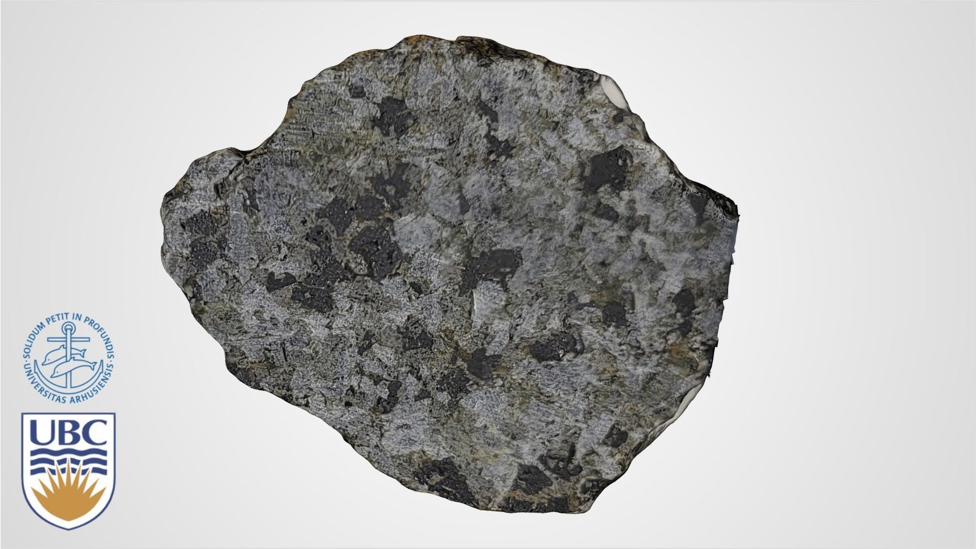 Skaergaard intrusion LZc' (SK08-128) - 3D model by Nichole Moerhuis ...