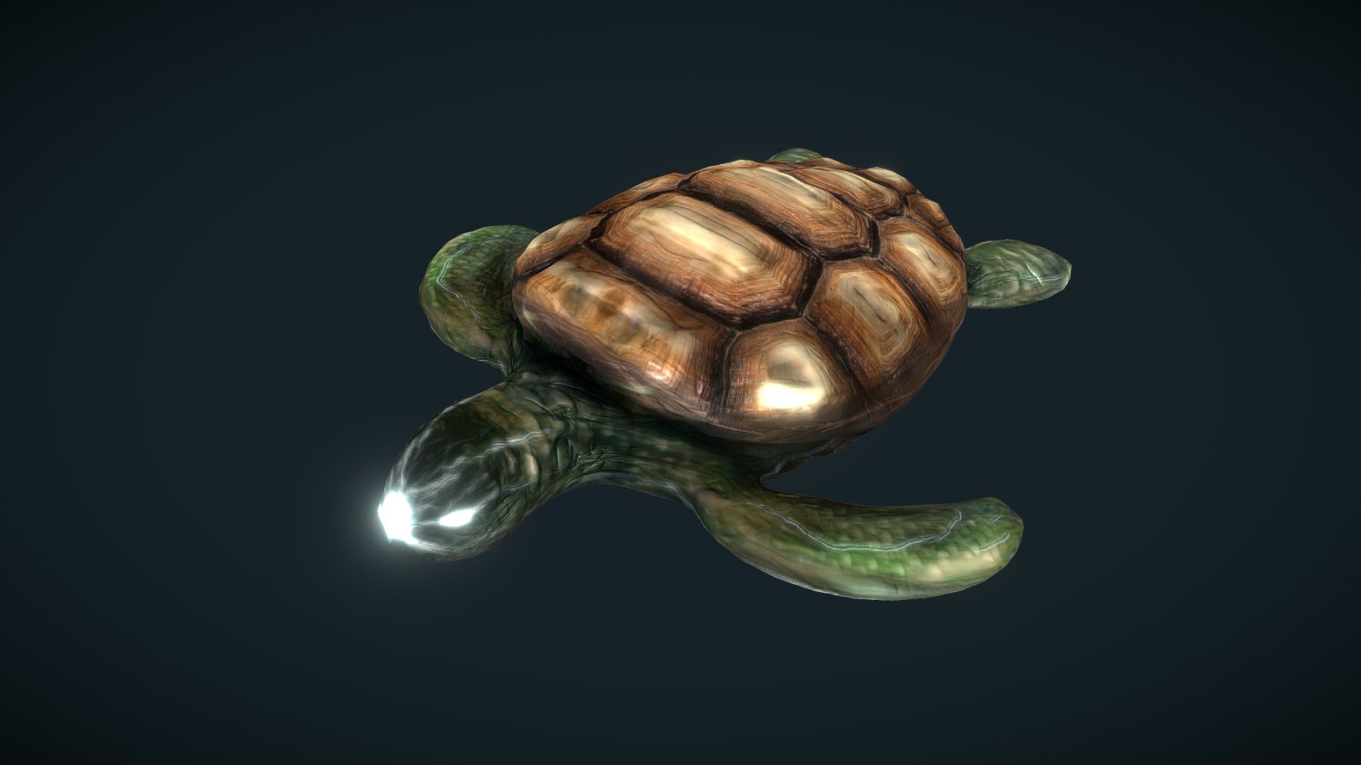 Tortuga Sea Turtle - 3D model by daviscazar [2d9d654] - Sketchfab