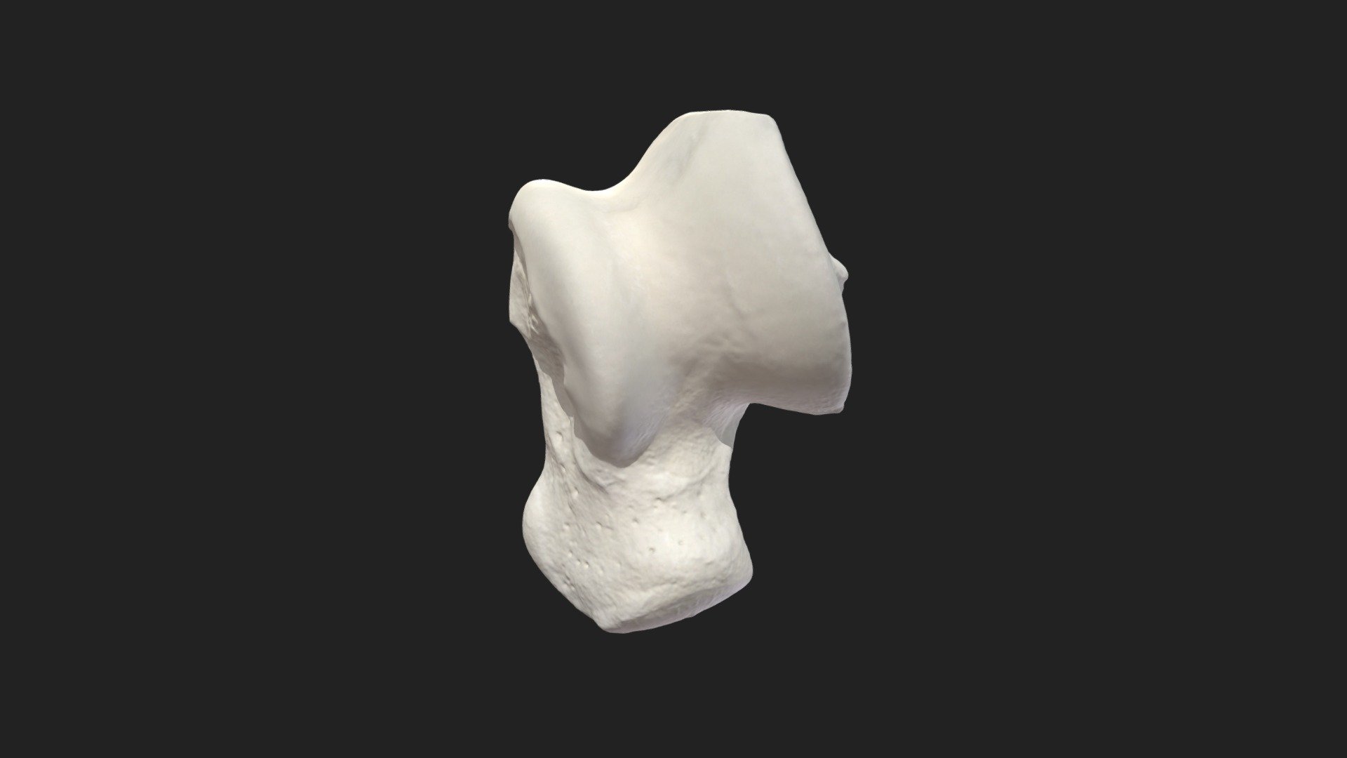 talus (talus) cat - 3D model by vetanatMunich [2da8be5] - Sketchfab