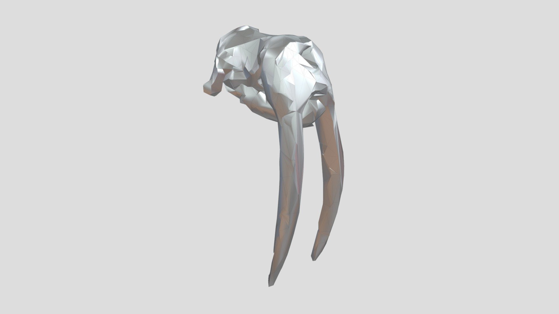 Walrus skull - low poly - Download Free 3D model by Emm (@edemaistre ...