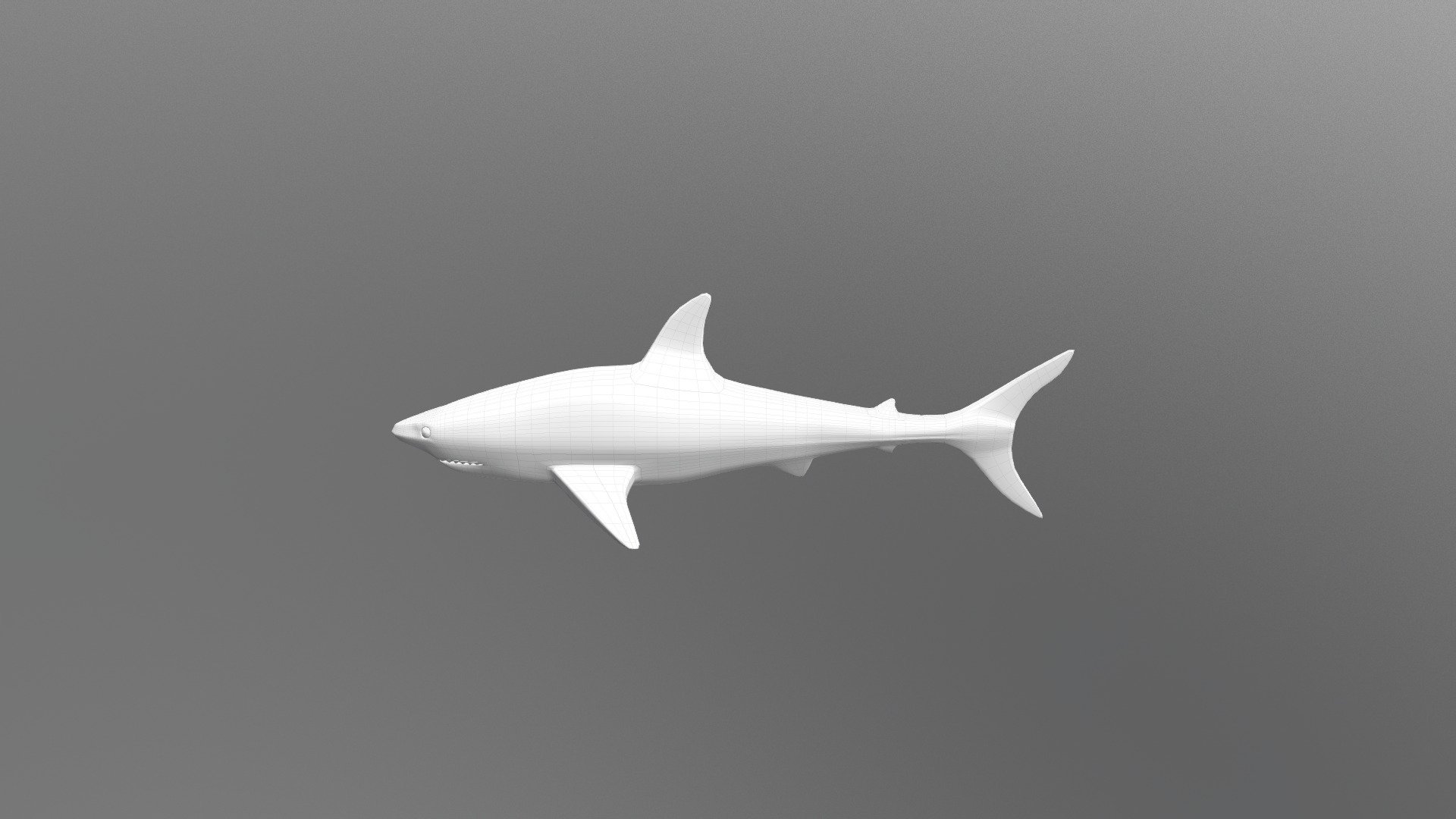 Shark Modelling - 3D model by stellawang [2db0258] - Sketchfab