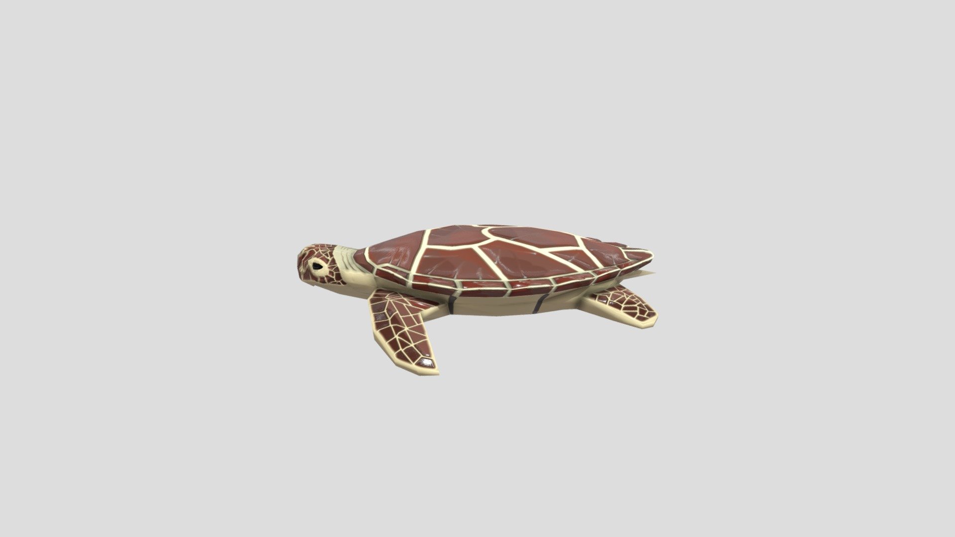 sea turtle - 3D model by mc2000825 [2db7fe3] - Sketchfab