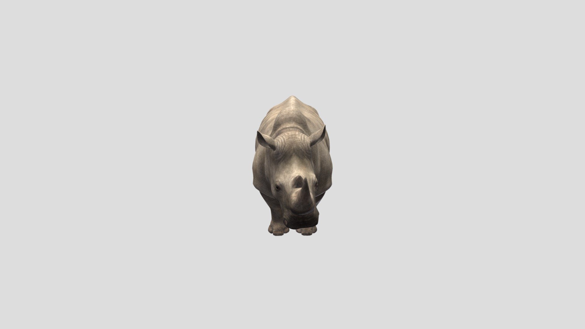 Badak Bercula - 3D model by nanangrohmat14 [2dc0286] - Sketchfab