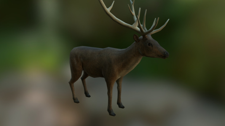 STAG - 3D model by louis_fourie [2dc56c1] - Sketchfab