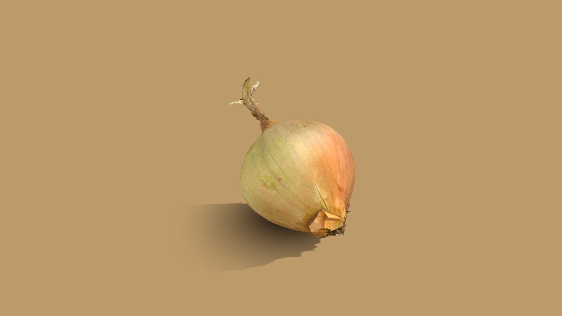 Onion - 3D model by Omphalion [2dcf6d9] - Sketchfab