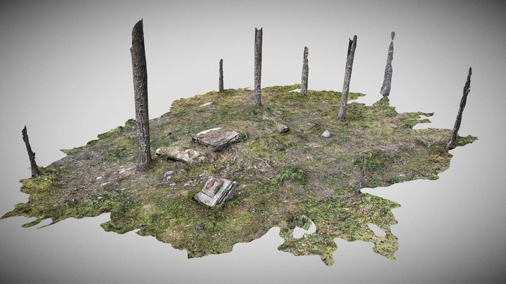Foundation 3D models - Sketchfab