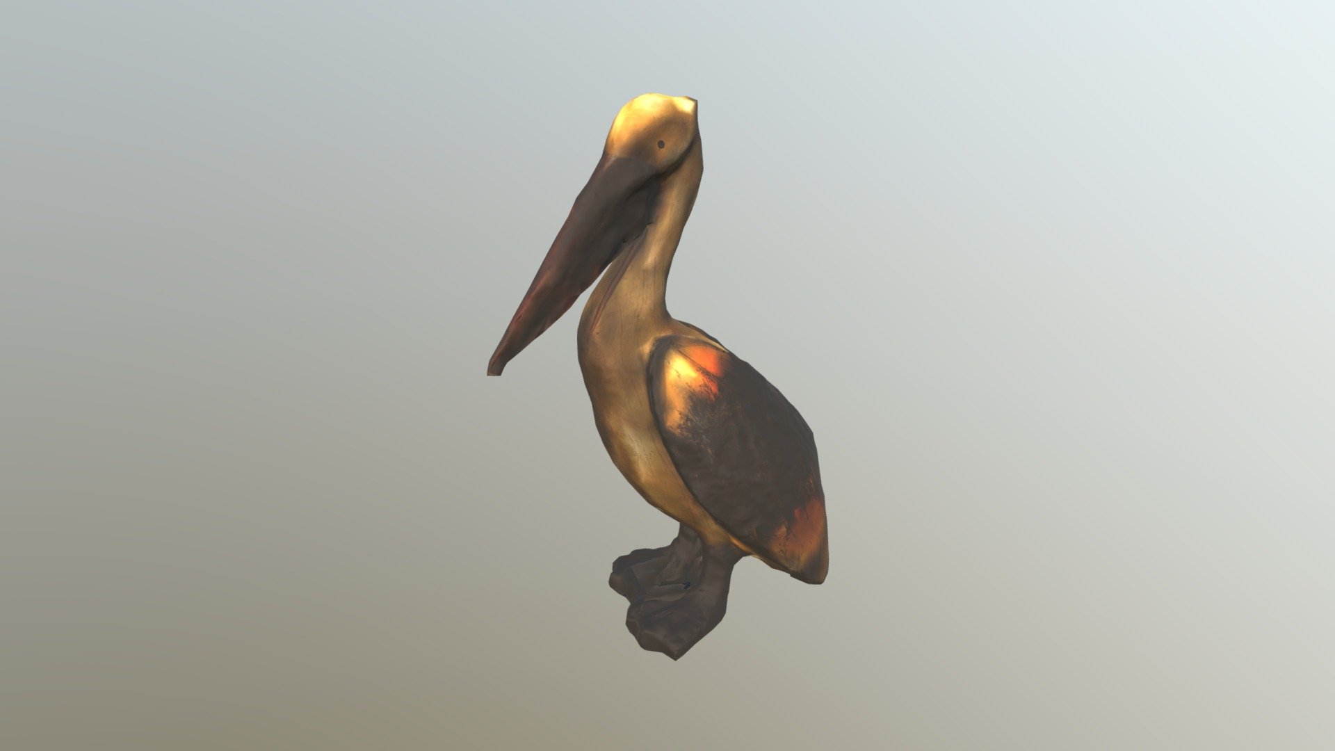 Pelican - Download Free 3D model by David Wigforss (@dwigfor) [2ddfd70 ...