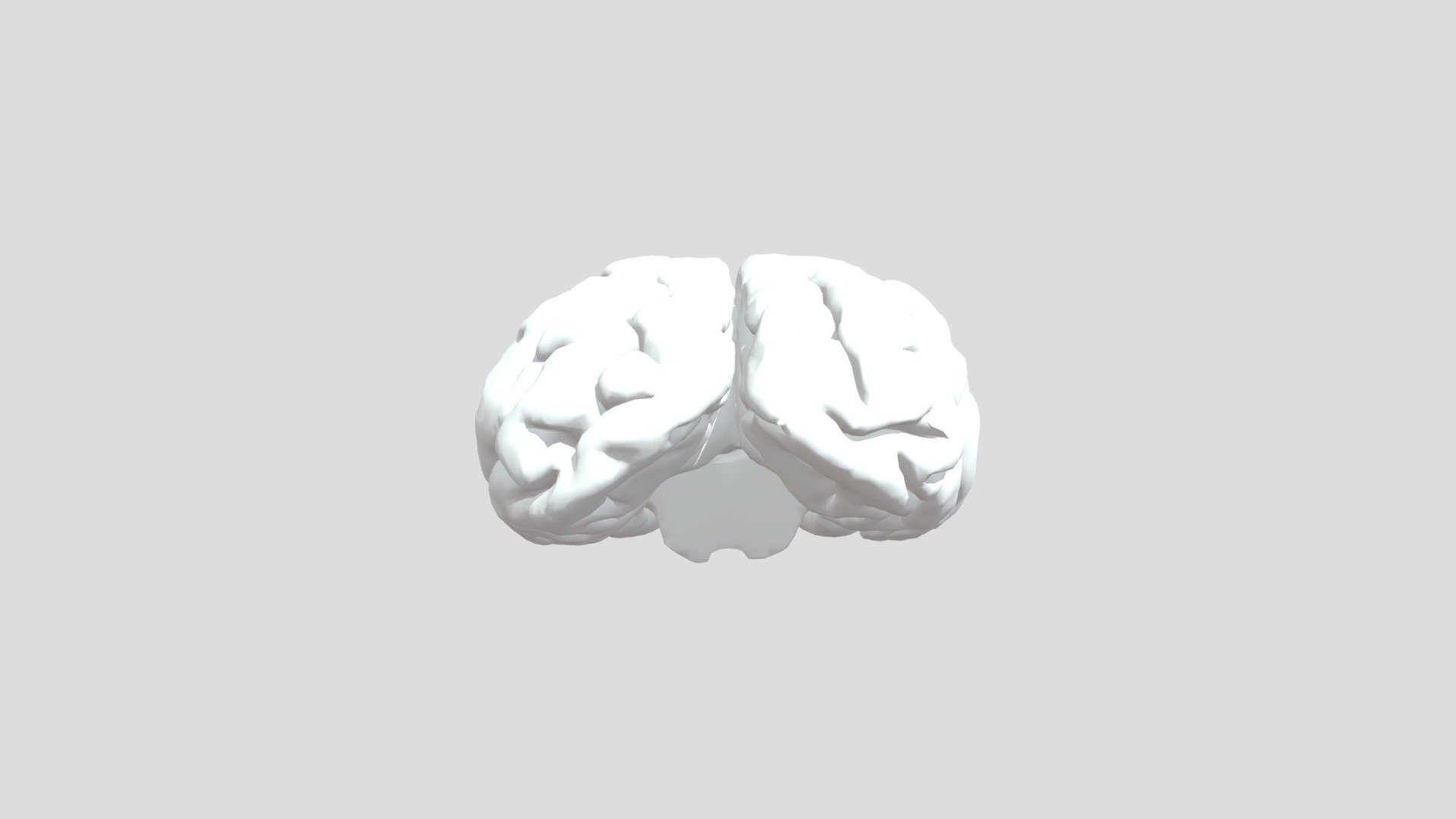 Lion Brain - Download Free 3D model by ekrueger-UEL (@ekrueger ...