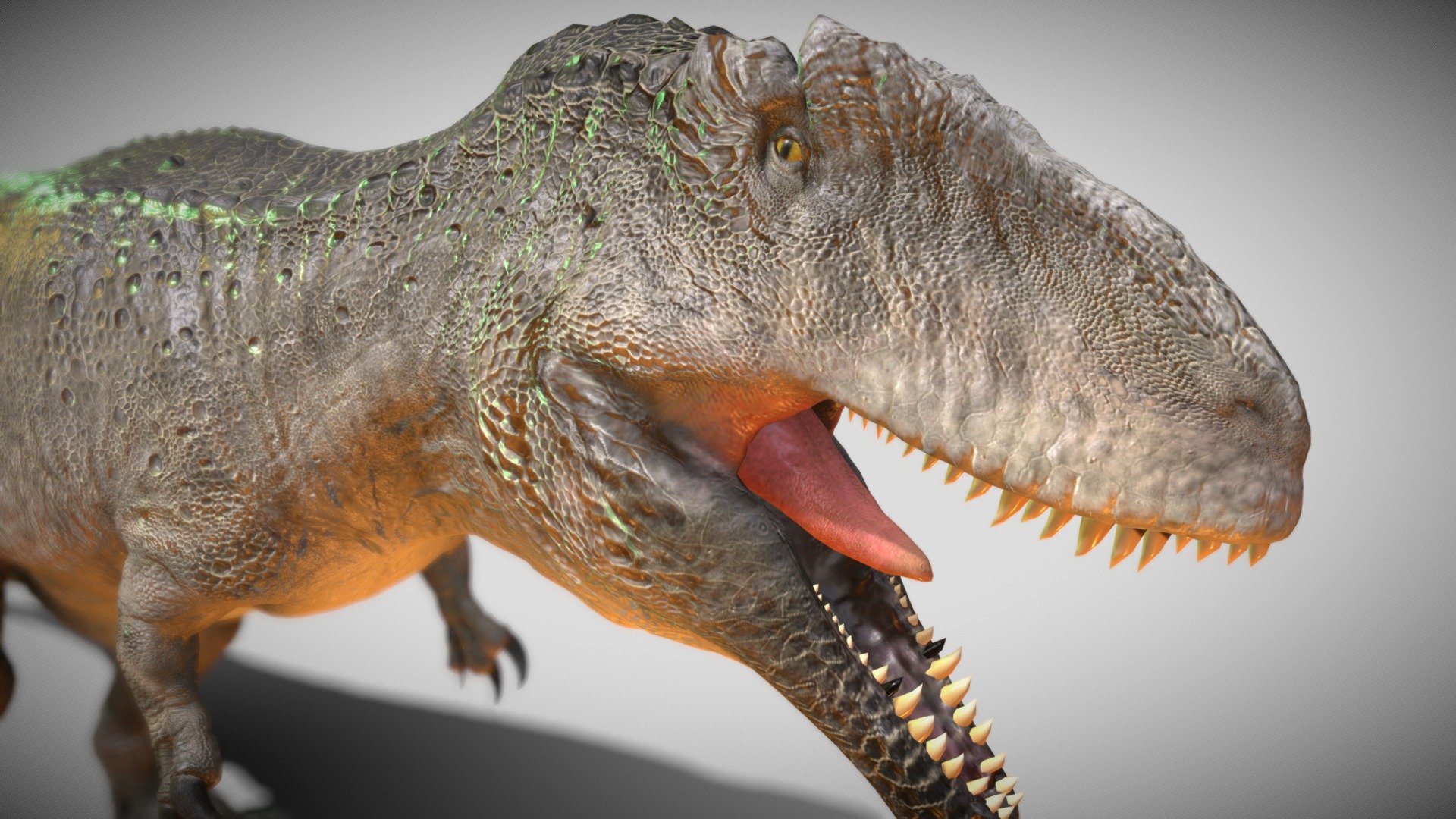 Giganotosaurus - 3D model by robertfabiani [2dedd3f] - Sketchfab