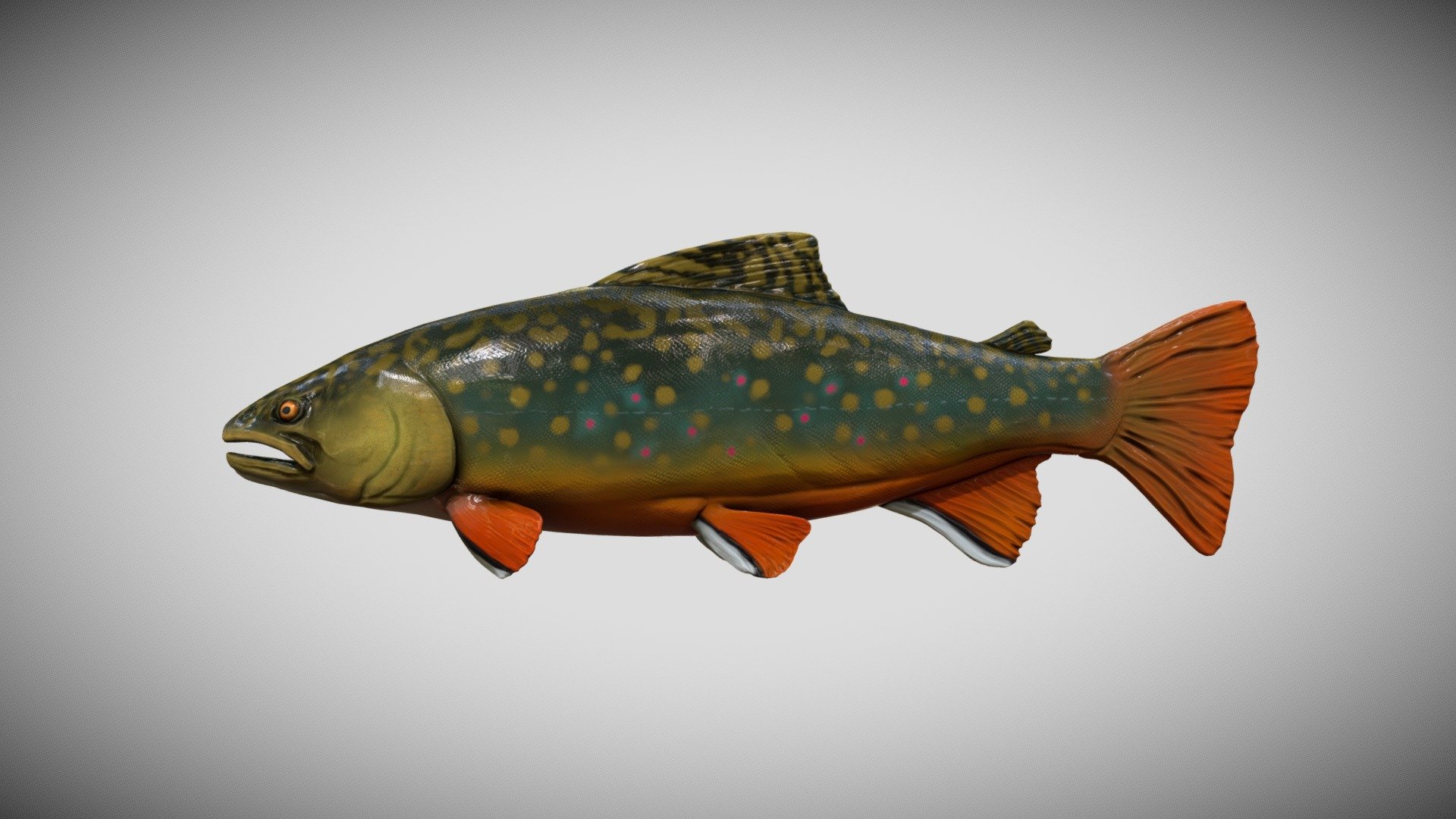 Fish | Rainbow Trout - Buy Royalty Free 3D model by tuckerroche ...
