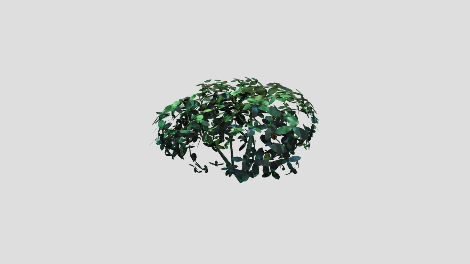 Bush - Download Free 3D model by yankizy [2e042b3] - Sketchfab