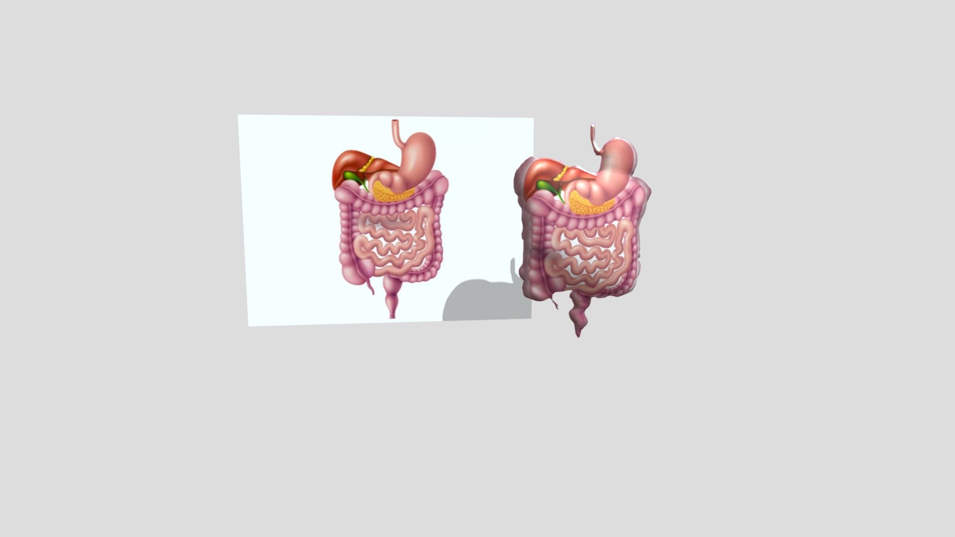organ - 3D model by feby6536 [2e0afa6] - Sketchfab